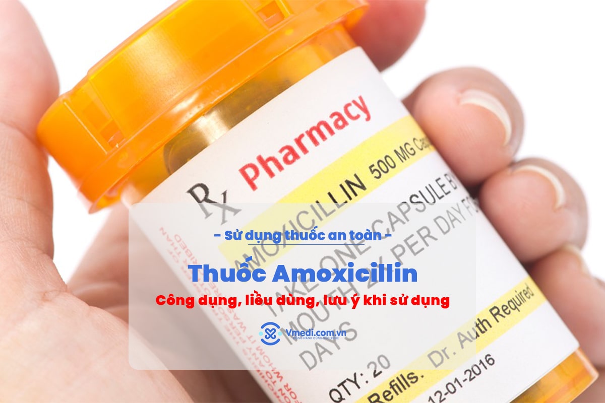 Thuốc Amoxicillin: Công dụng, liều dùng và lưu ý khi sử dụng